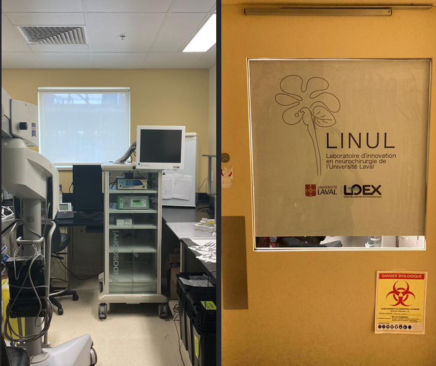 Surgical laboratory | Neurosurgical Innovation Laboratory | ULaval