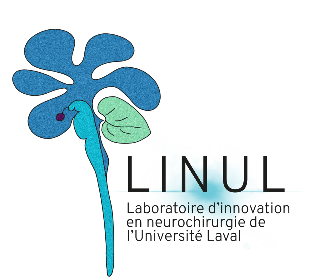Laboratoire d’innovation en neurochirurgie de l'Université Laval ...